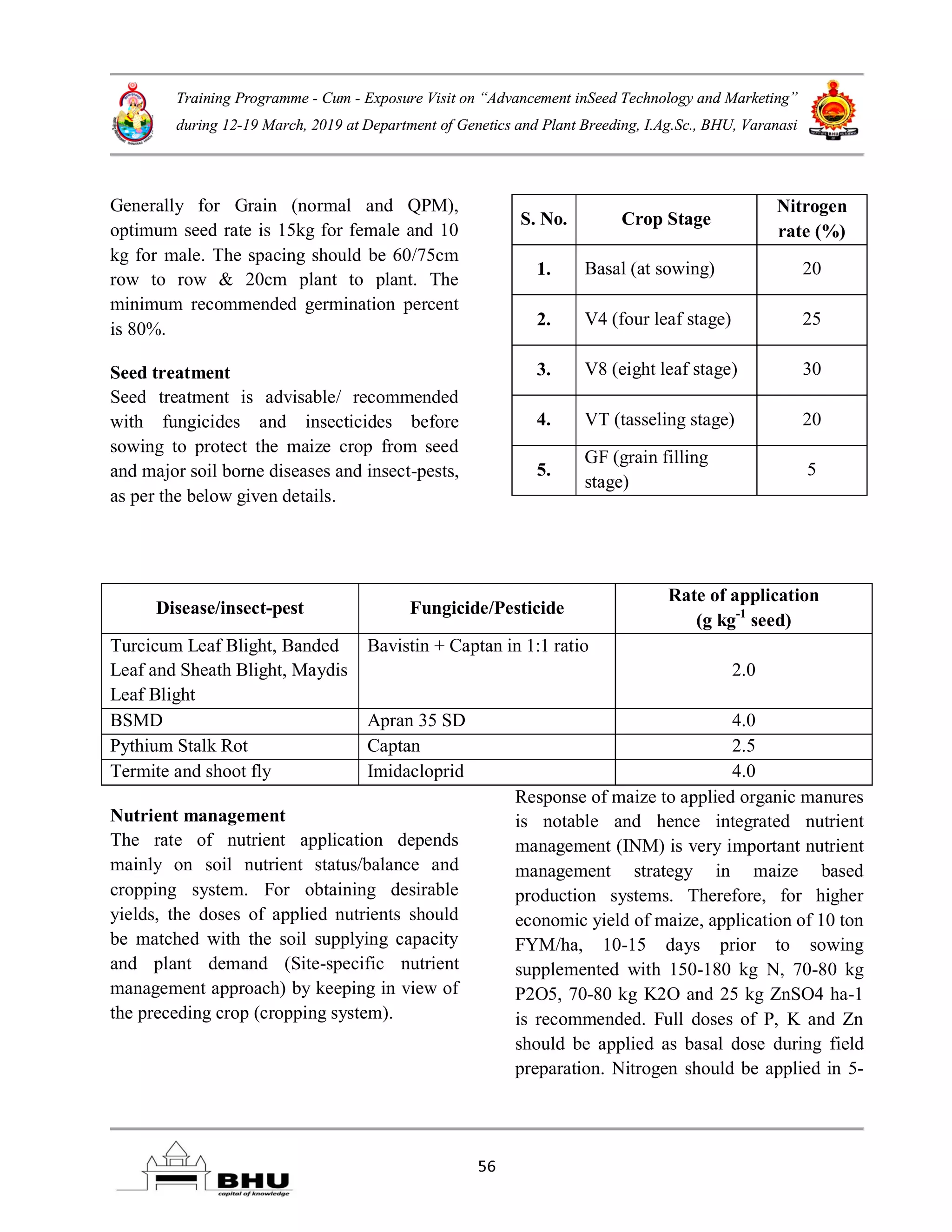 Hybrid seed production technique in maize training manual | PDF