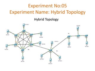 Hybrid Topology | PPTX