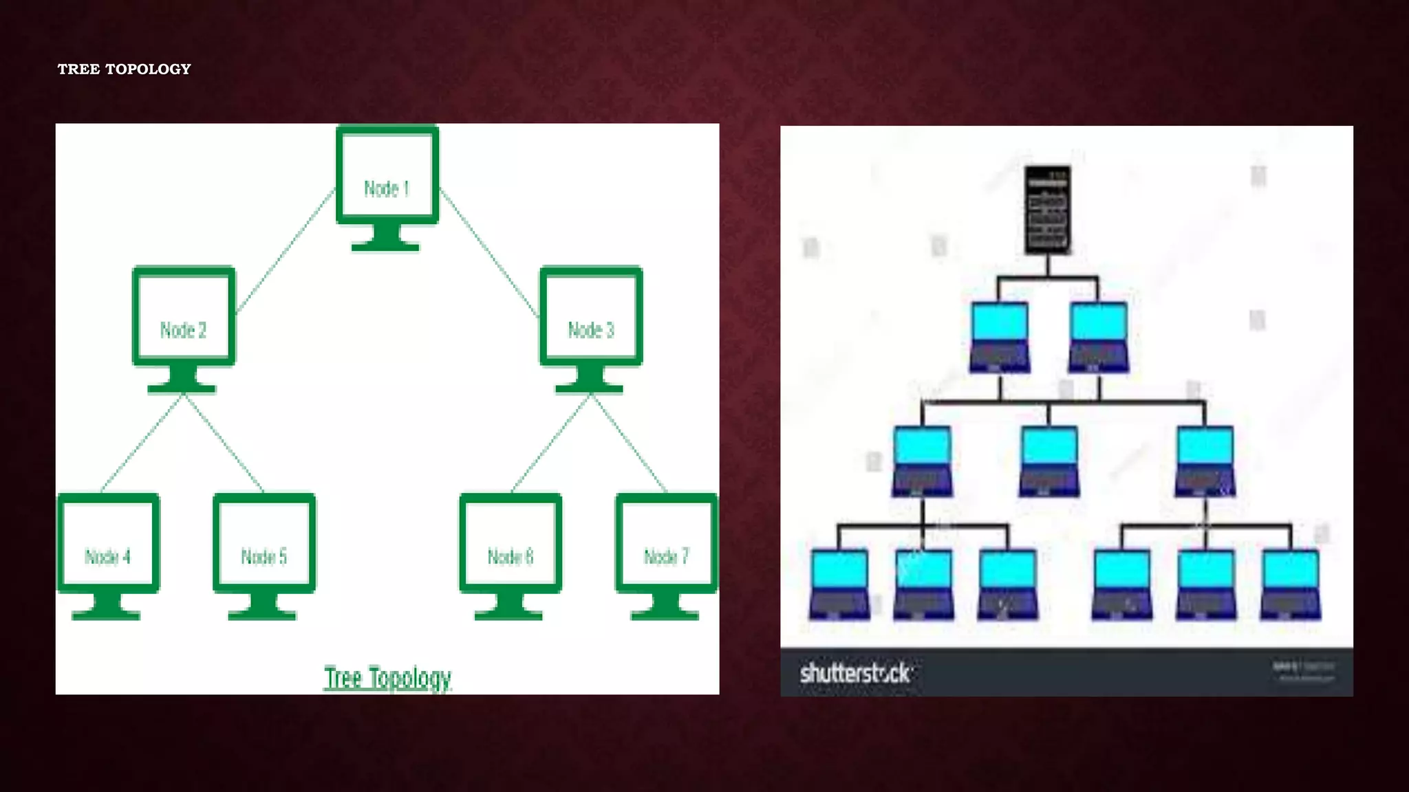 Hybrid topology.pptx