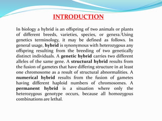 Hybrid variety animals | PPTX