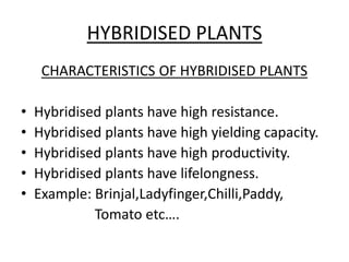 Hybrid variety of plants | PPT