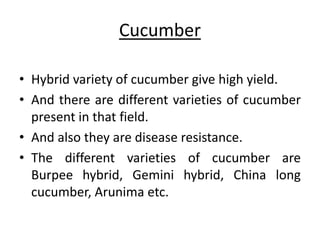 Hybrid variety plants | PPTX