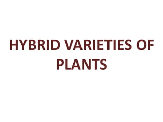 Hybrid variety plants | PPTX