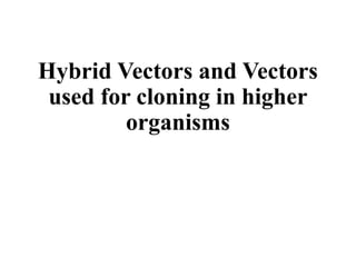 Hybrid Vectors and Vectors used for cloning in.pptx