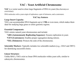 Hybrid Vectors and Vectors used for cloning in.pptx