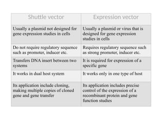 Hybrid Vectors and Vectors used for cloning in.pptx
