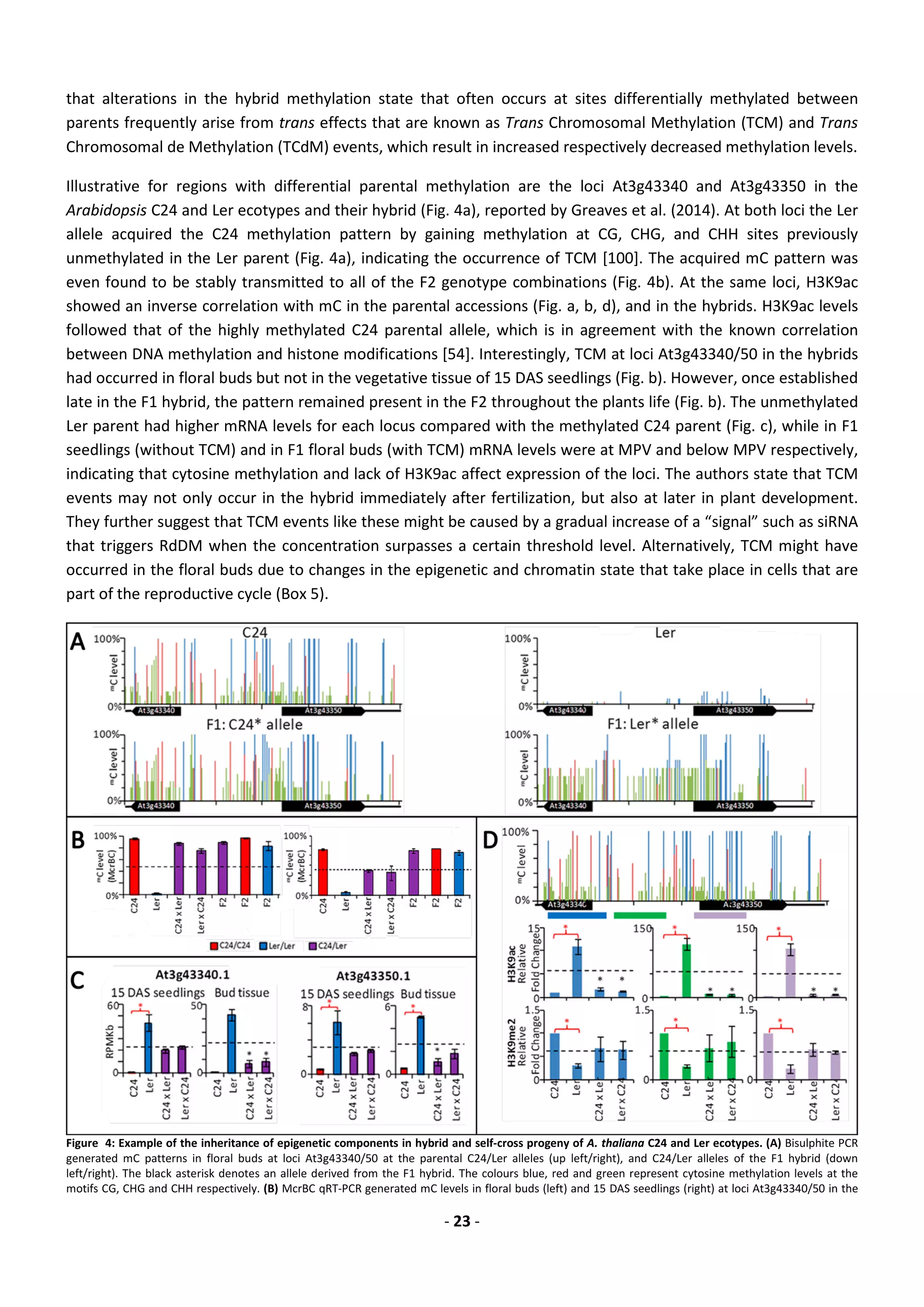 Hybrid vigor in plants, and the role of epigenetics. | PDF