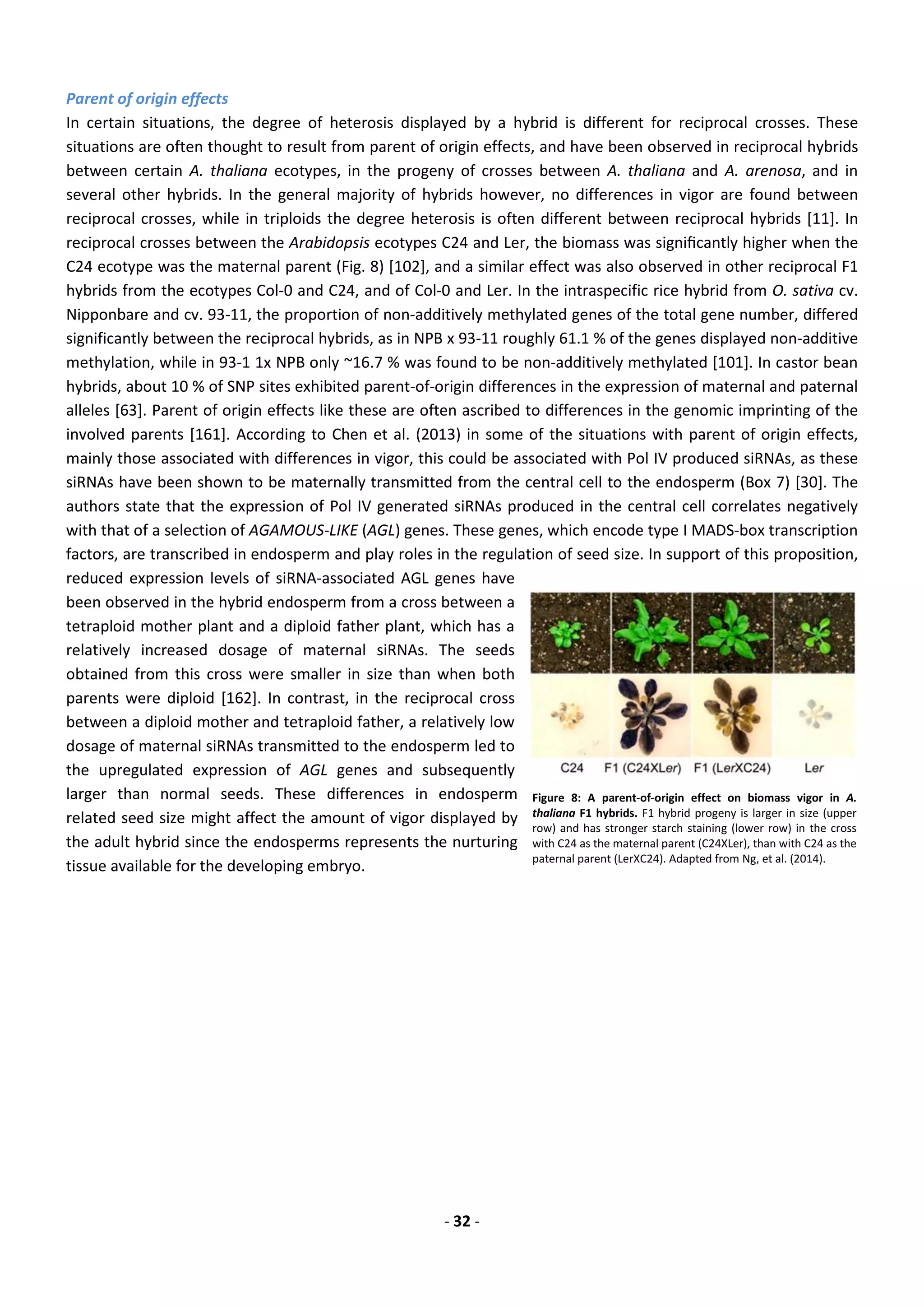 Hybrid vigor in plants, and the role of epigenetics. | PDF