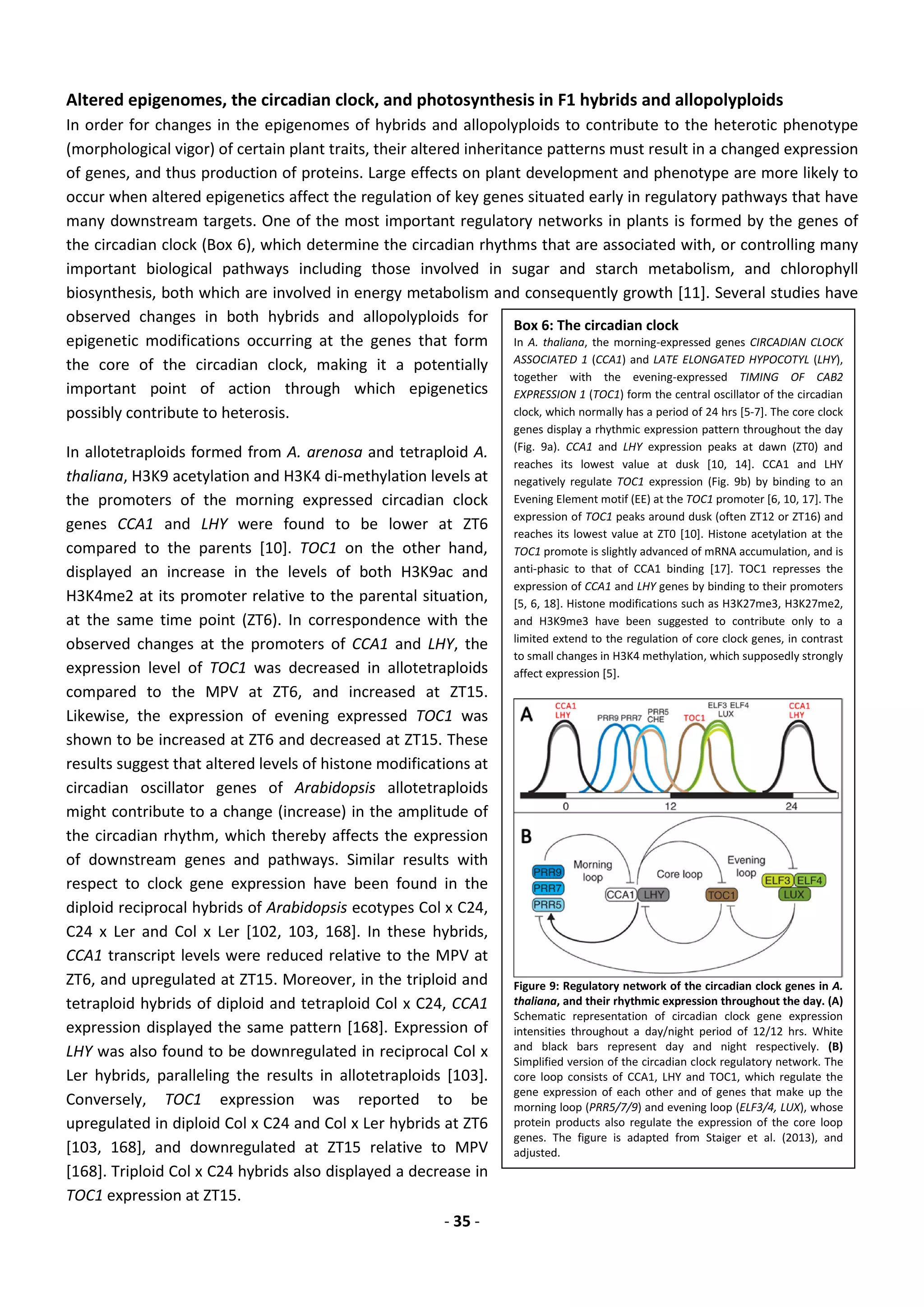 Hybrid vigor in plants, and the role of epigenetics. | PDF