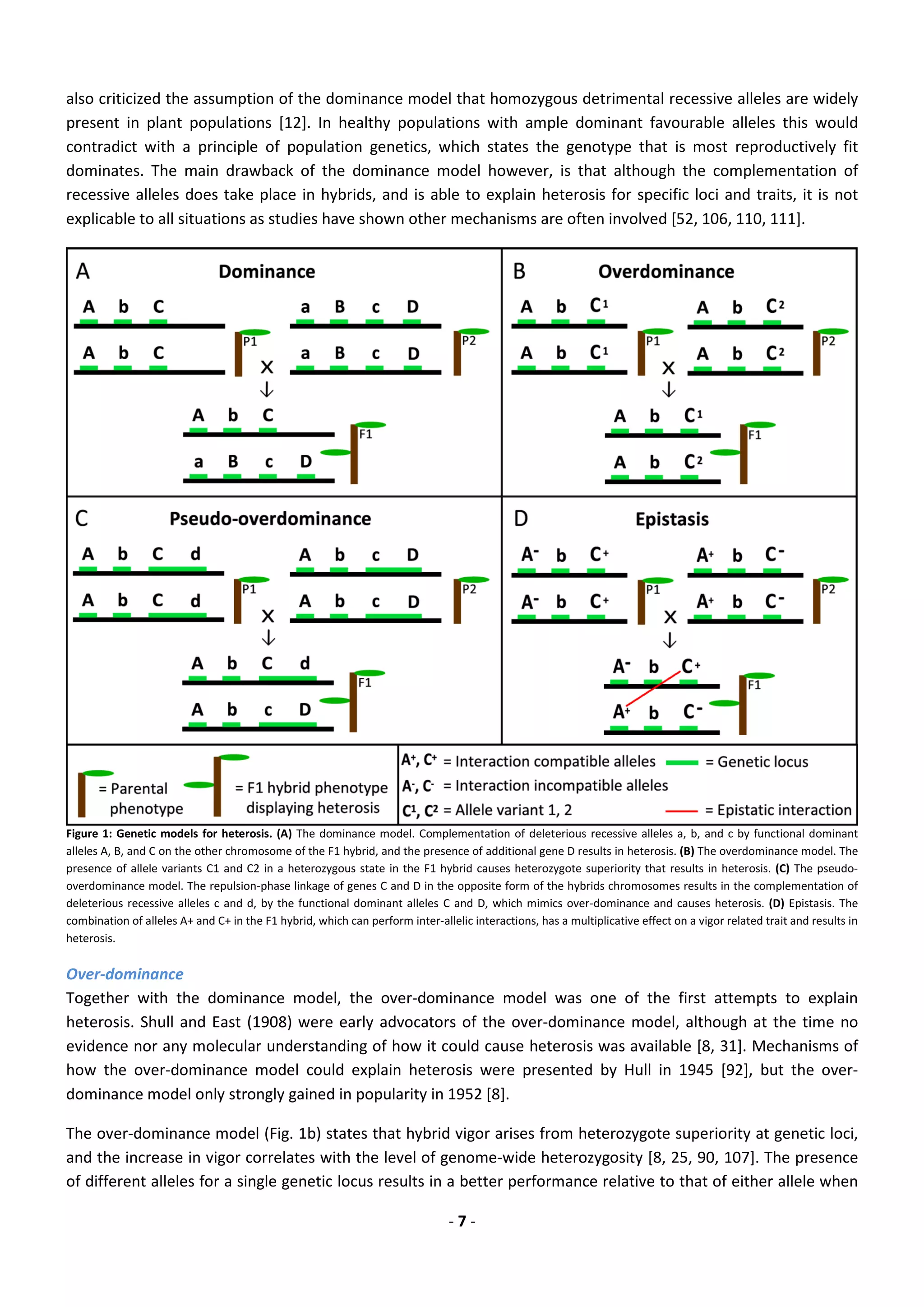Hybrid vigor in plants, and the role of epigenetics. | PDF