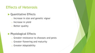 Hybrid Vigour.pptx