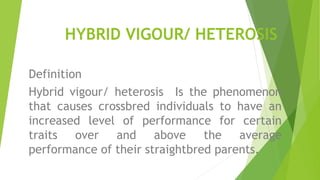 Hybrid Vigour.pptx