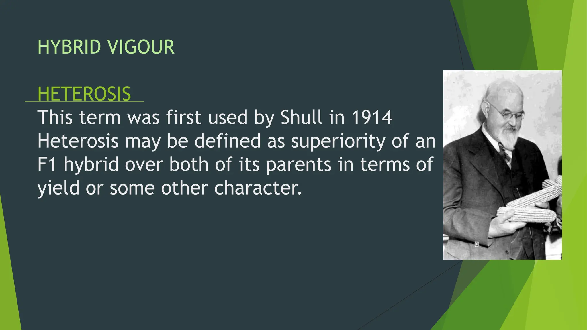 HYBRID VIGOUR - Copy.pptx