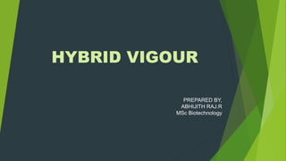 HYBRID VIGOUR - Copy.pptx