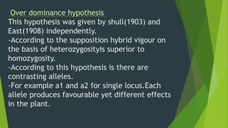 HYBRID VIGOUR - Copy.pptx