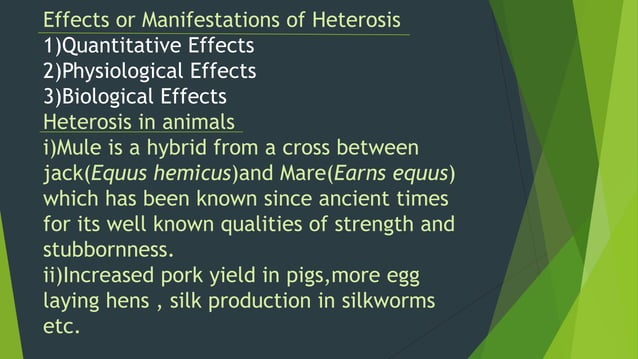 HYBRID VIGOUR - Copy.pptx | Biological Sciences | Science
