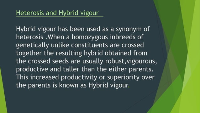 HYBRID VIGOUR - Copy.pptx | Biological Sciences | Science