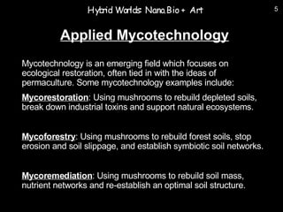 Mycotechnology: the fungal frontier | PDF | Gardening | Home & Garden