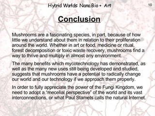 Hybrid Worlds Fungi Midterm Crews | PDF