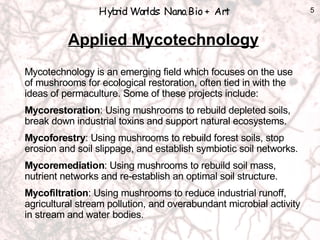 Hybrid Worlds Fungi Midterm Crews | PDF