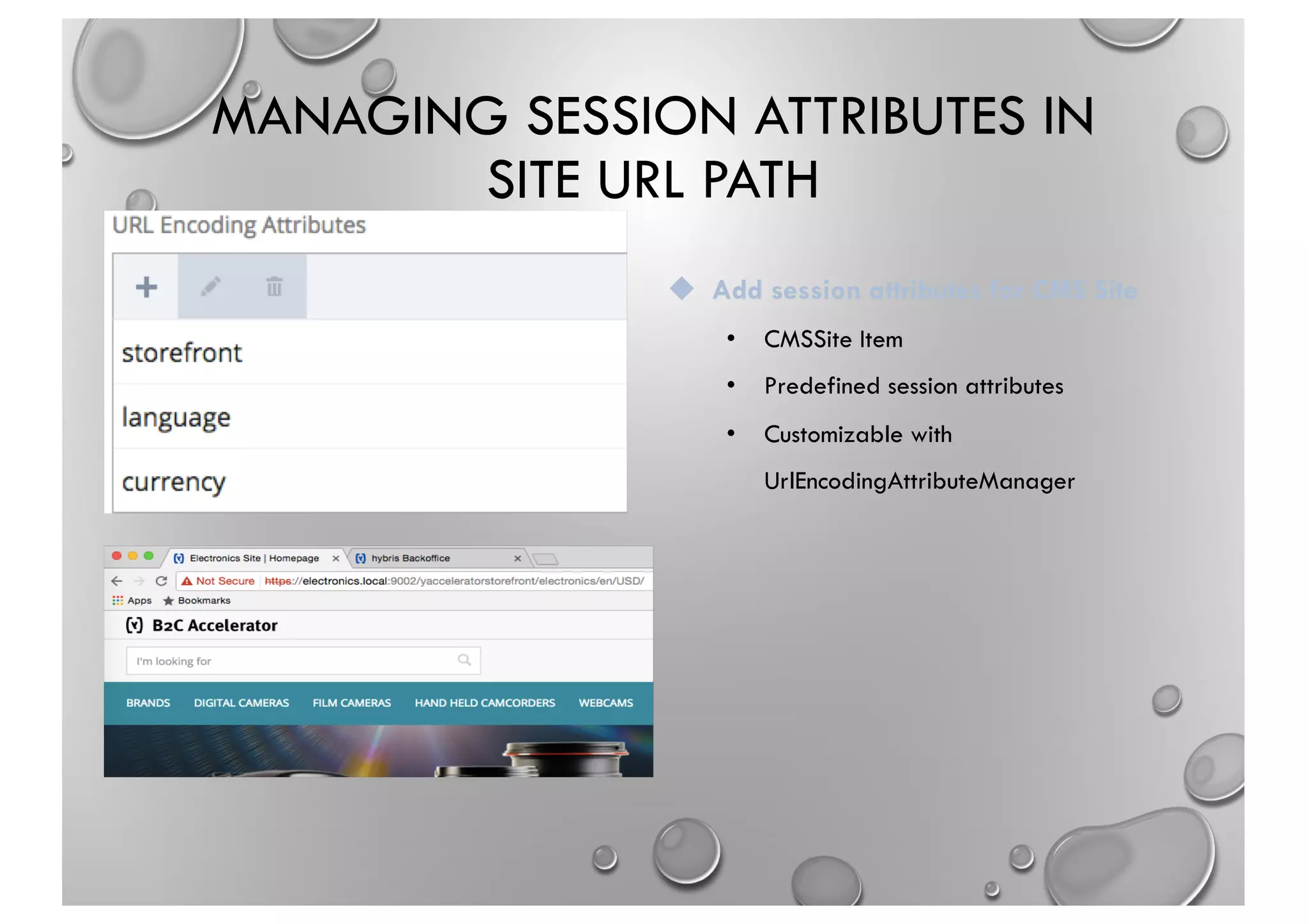 hybris SEO Feature and Guide | PDF | Web Development | Internet