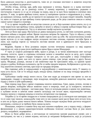 Plava ptica nikolaj bajkov - veliki van | PDF