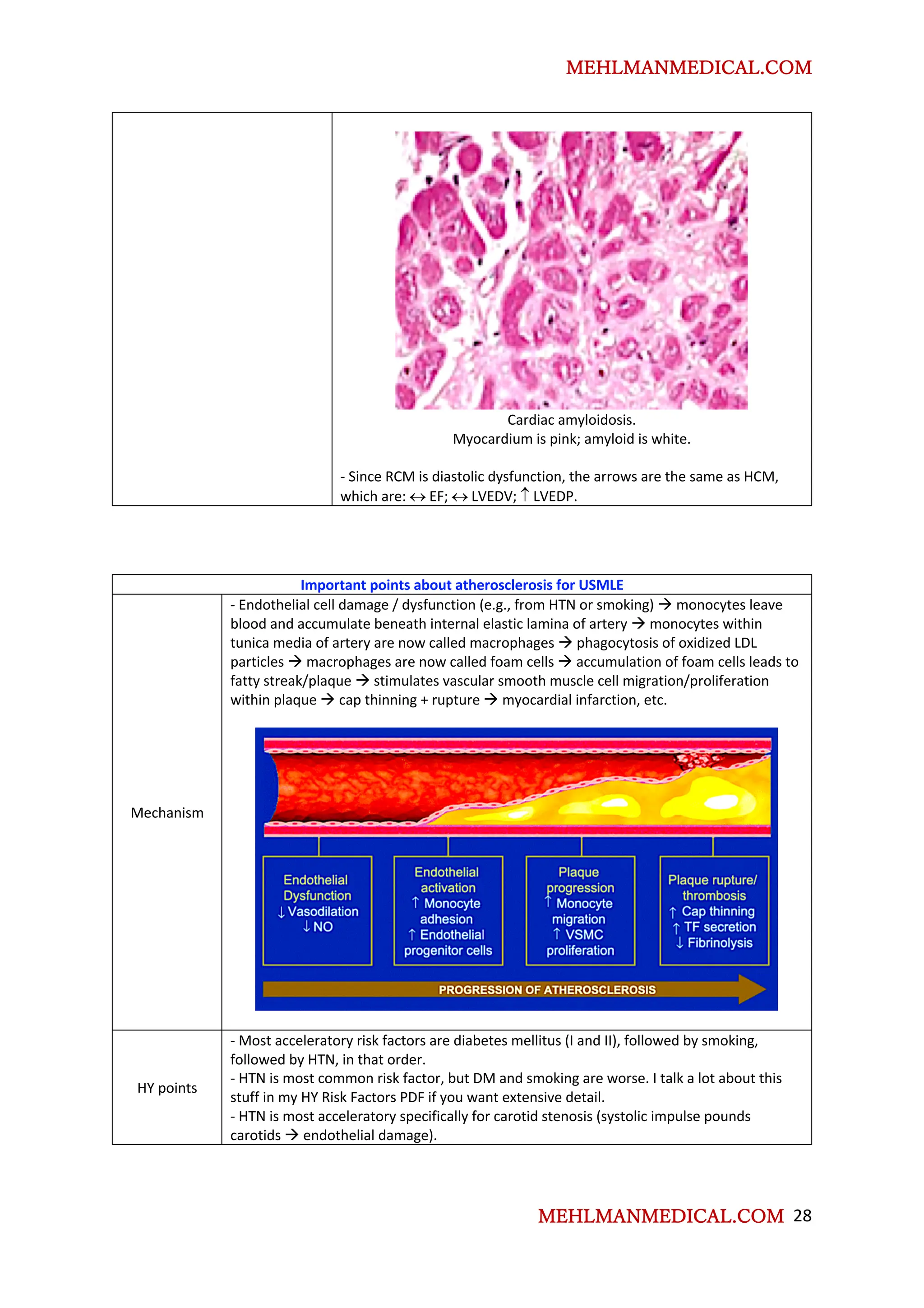 cardiac pathology usmle . High yield arrows by dr mike from Melman ...