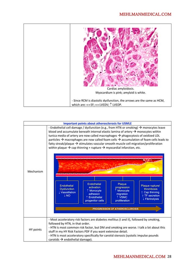 cardiac pathology usmle . High yield arrows by dr mike from Melman ...