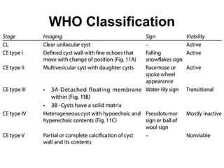 Hydatid cyst of liver and medical treatment | PPTX