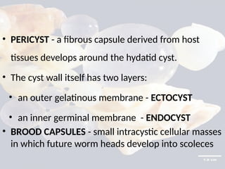 hydatid CLINICAL PICTURE AND TREATMENT.pptx
