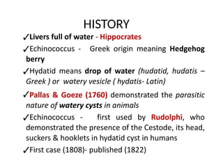 HTDATID CYST. 01 | PDF