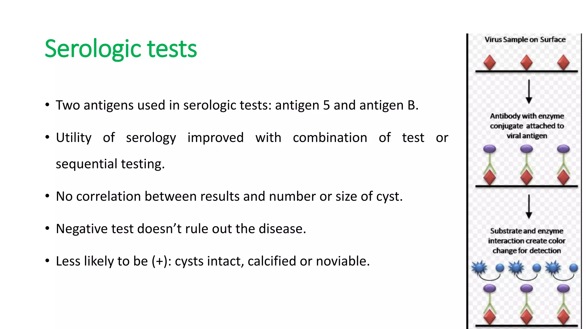 Hydatid Cyst Ppt