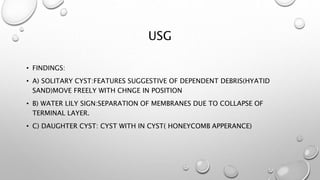 hydatid cyst.pptx