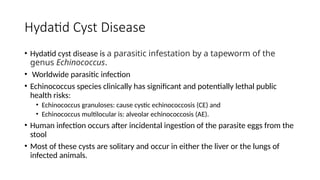 Hydatid Cyst Disease (Echinococcosis).pptx