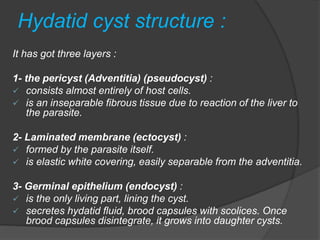 HYDATID CYST OF LIVER.pptx
