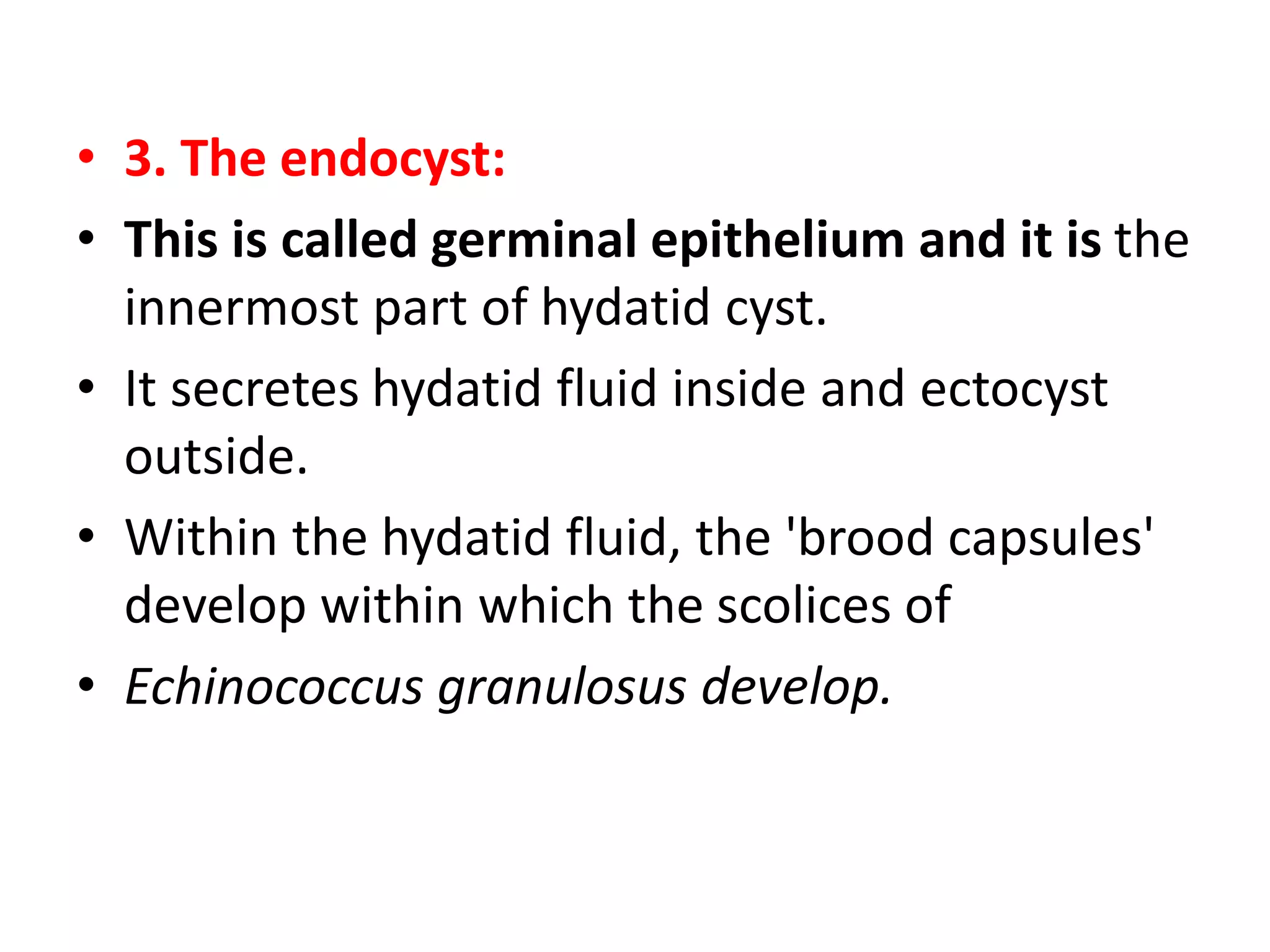 HYDATID CYST OF THE LIVER | PPTX