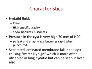 Hydatid disease | PPT