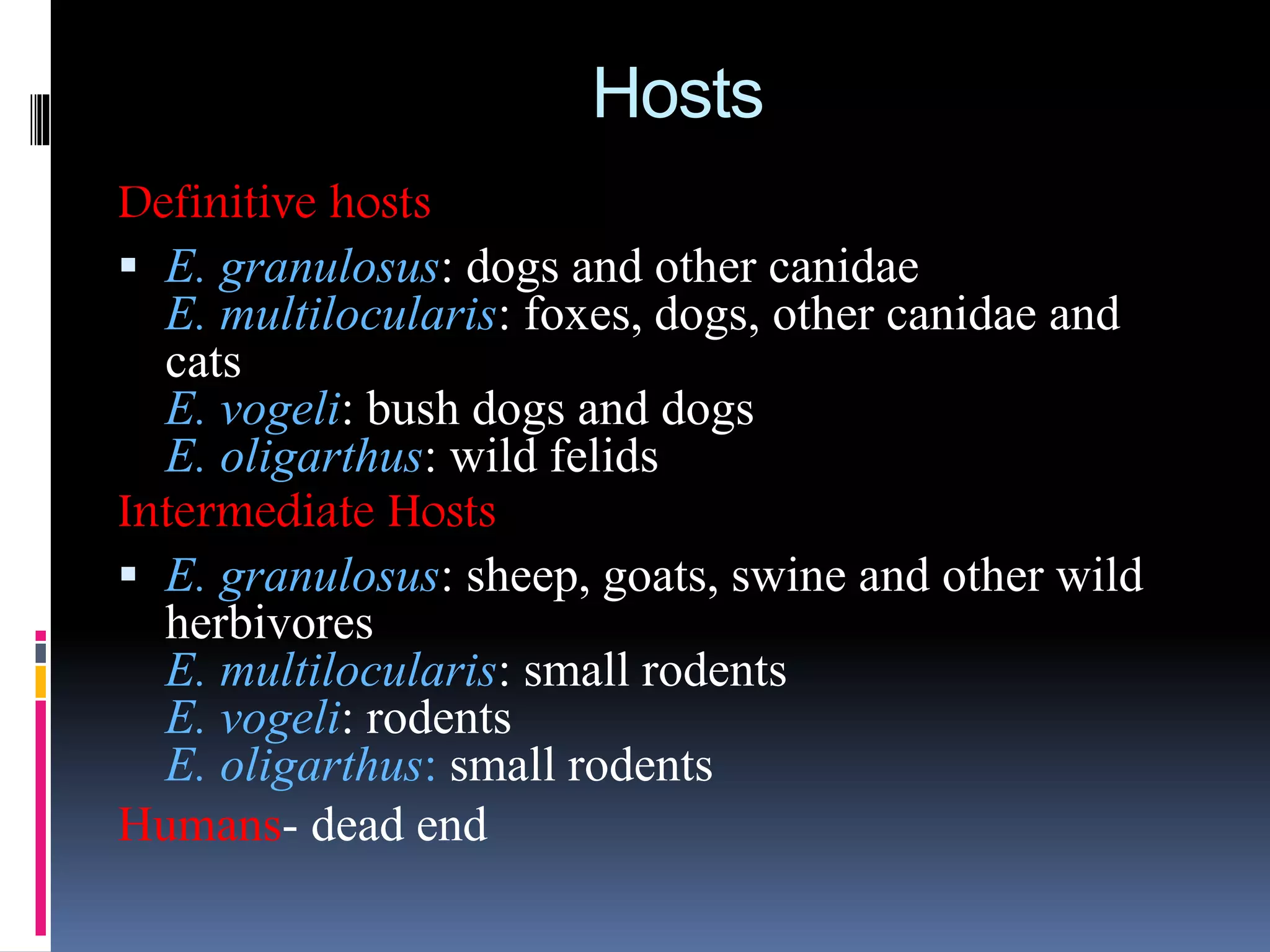 Hydatid disease of liver | PPTX