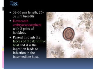 Hydatid disease of liver | PPTX