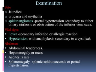 Echinococcus Serology