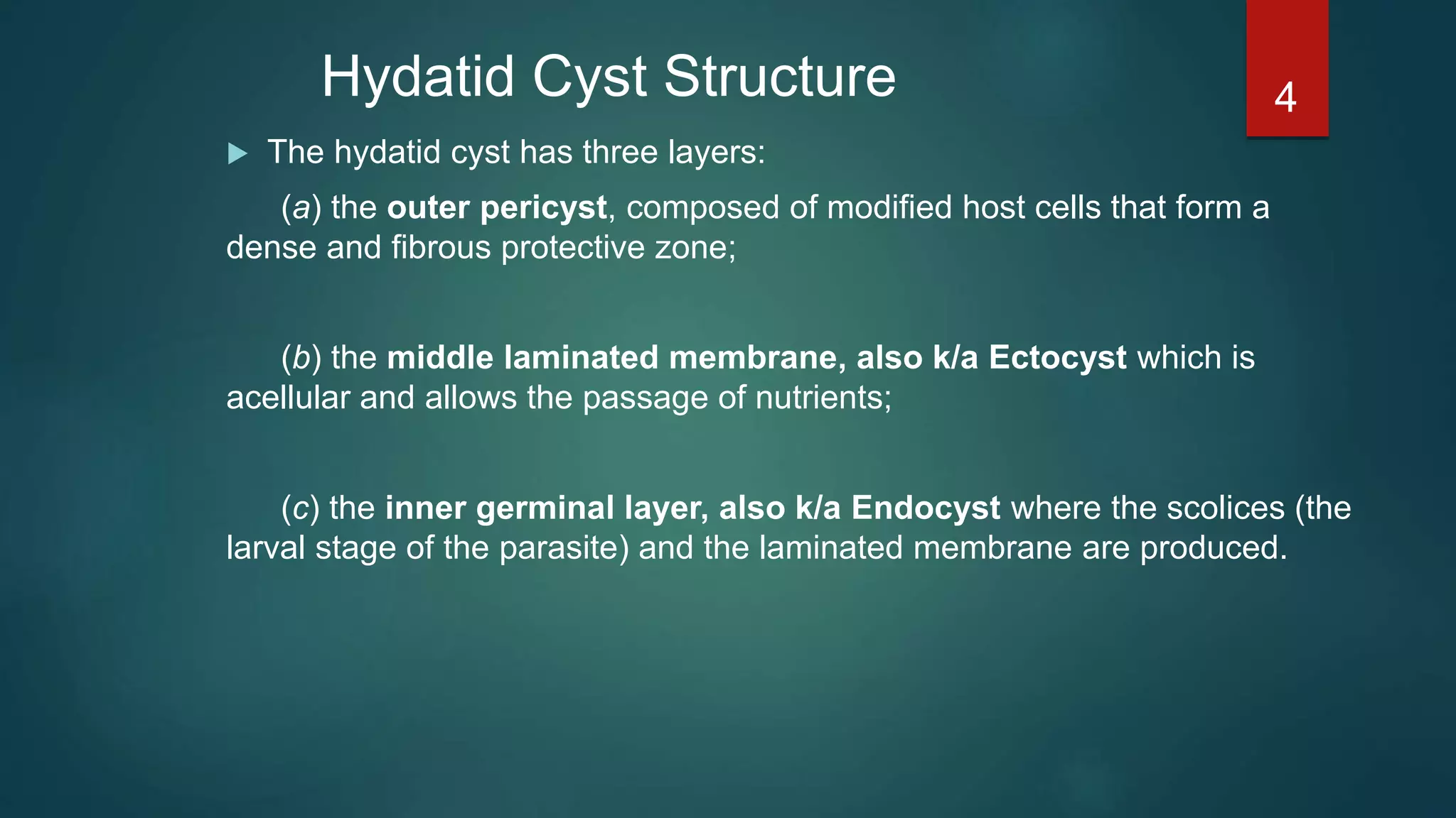 Hydatid disease | PPTX