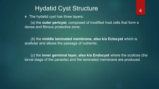 Hydatid disease | PPTX
