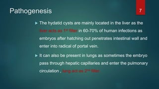 Hydatid disease | PPT