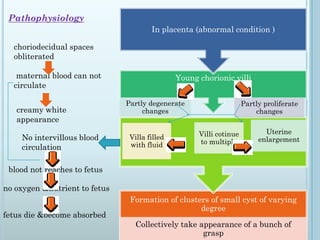 Pathophysiology Of H Mole Pregnancy