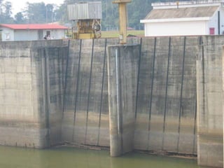 Hydel Generation and Types Of Turbines | PPTX | Geology | Science