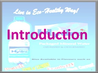 Hydra Mineral water project | PPT | Business | Business and Finance