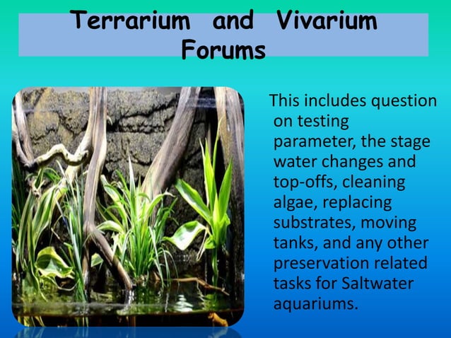 Vivarium Forum | PPT