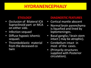 Hydrancephaly | PPTX