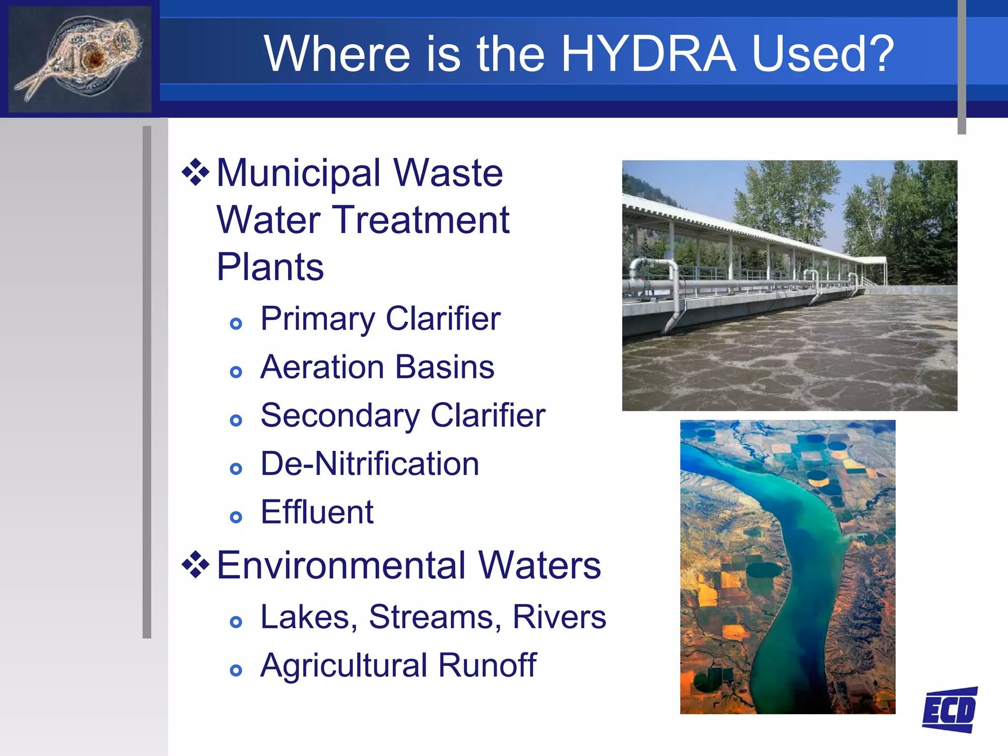 Ammonium & Nitrate Analyzers for Water Treatment | PPT