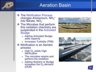 Ammonium & Nitrate Analyzers for Water Treatment | PPT | Free Download